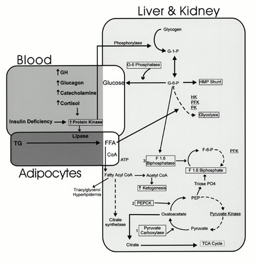 Management of Hyperglycemic Crises in Patients With Diabetes | Diabetes ...