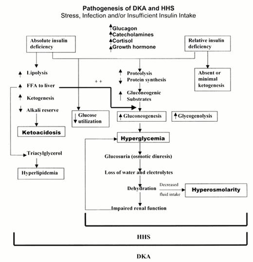 Management of Hyperglycemic Crises in Patients With Diabetes | Diabetes ...