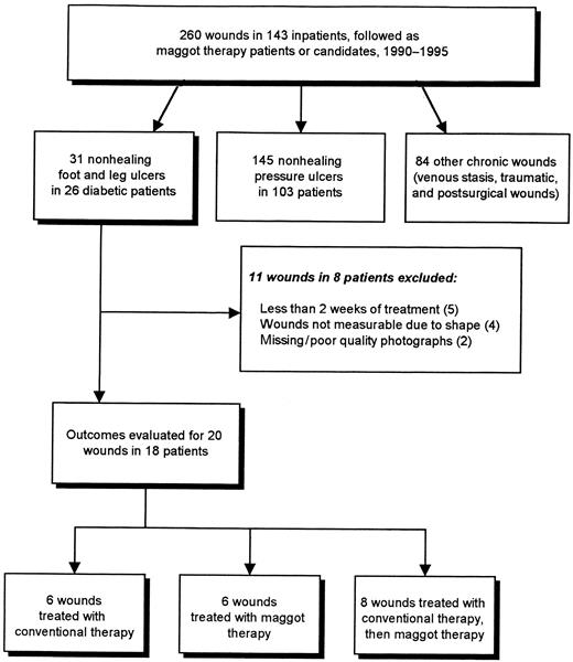 Maggot Therapy for Treating Diabetic Foot Ulcers Unresponsive to ...