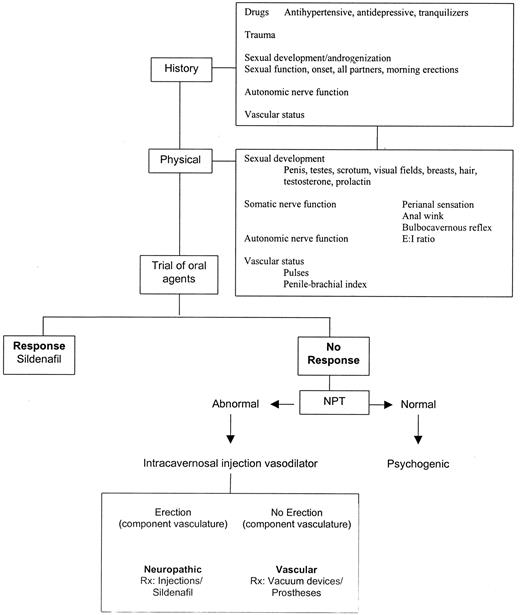 Diabetic Autonomic Neuropathy | Diabetes Care | American Diabetes ...