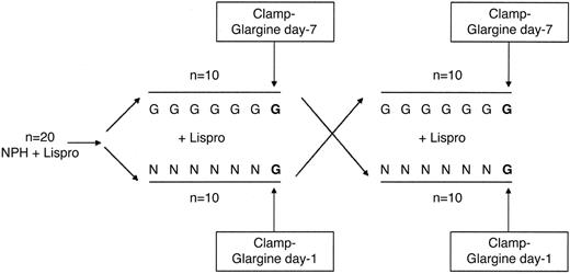 Pharmacokinetics and Pharmacodynamics of the Long-Acting Insulin Analog ...