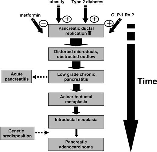 GLP-1–Based Therapy for Diabetes: What You Do Not Know Can Hurt You ...
