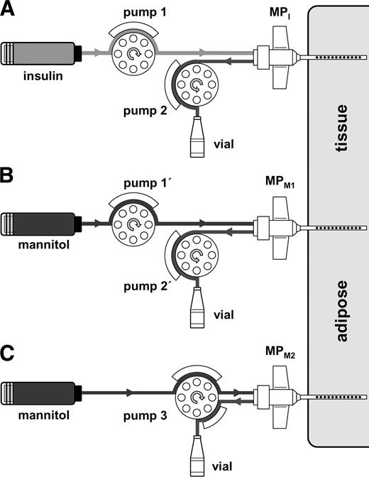 Use of the Site of Subcutaneous Insulin Administration for the ...