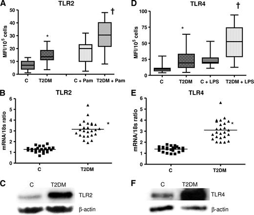 Increased Toll-Like Receptor (TLR) Activation and TLR Ligands in ...