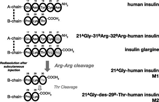 Plasma Exposure to Insulin Glargine and Its Metabolites M1 and M2 After ...