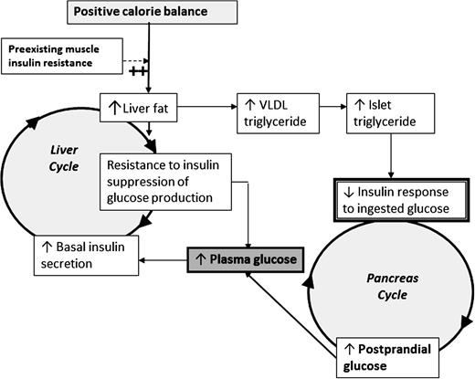 Type 2 Diabetes | Diabetes Care | American Diabetes Association