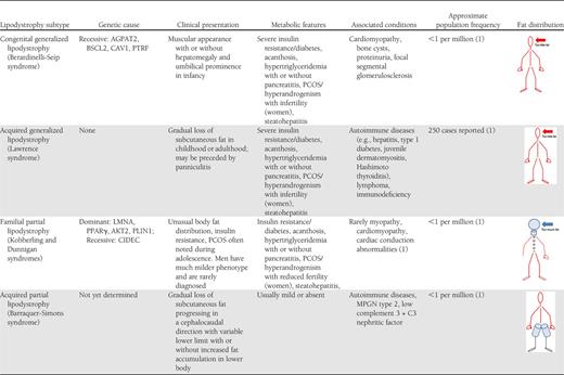 Novel Forms of Lipodystrophy | Diabetes Care | American Diabetes ...