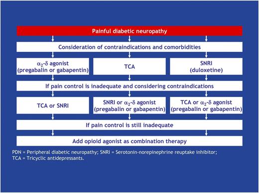 Mechanisms and Management of Diabetic Painful Distal Symmetrical ...