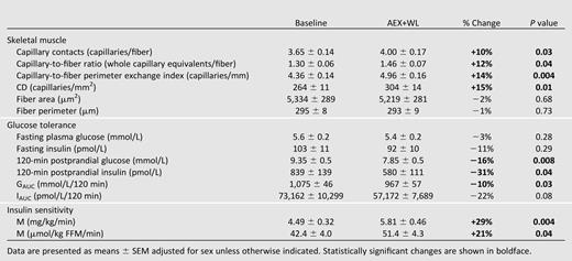 Increased Skeletal Muscle Capillarization After Aerobic Exercise ...