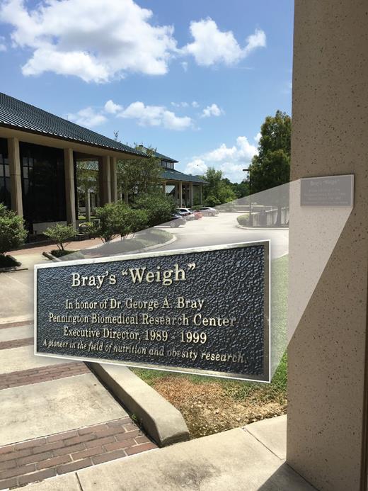 George A. Bray, MD: Progress in Obesity—Multidisciplinary Research ...