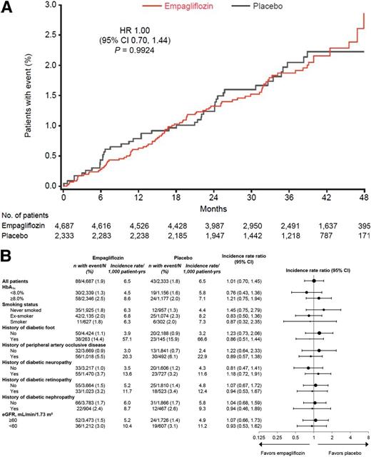 Empagliflozin and Assessment of Lower-Limb Amputations in the EMPA-REG ...