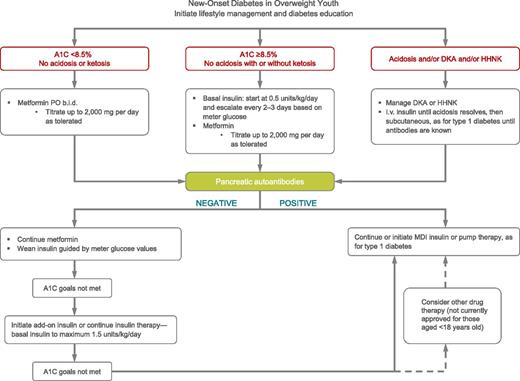 13. Children and Adolescents: Standards of Medical Care in Diabetes ...