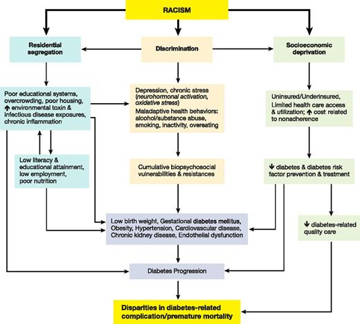 Social Determinants of Health and Structural Inequities—Root Causes of ...