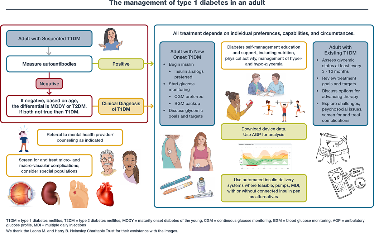 The Management of Type 1 Diabetes in Adults. A Consensus Report by the ...