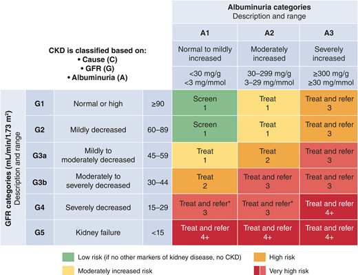 Diabetes Management in Chronic Kidney Disease: A Consensus Report by ...