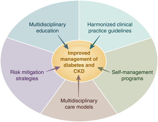 Diabetes Management in Chronic Kidney Disease: A Consensus Report by ...