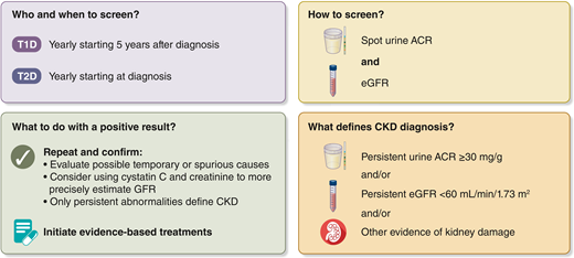 Diabetes Management in Chronic Kidney Disease: A Consensus Report by ...