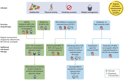 Diabetes Management in Chronic Kidney Disease: A Consensus Report by ...
