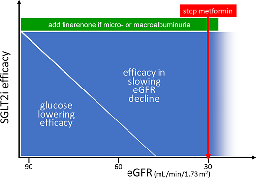 What Is the Best Medicine for Chronic Kidney Disease in Diabetes ...