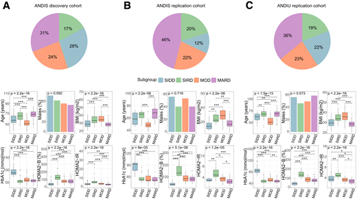 Novel Subgroups of Type 2 Diabetes Display Different Epigenetic ...