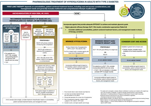 9. Pharmacologic Approaches to Glycemic Treatment: Standards of Medical ...