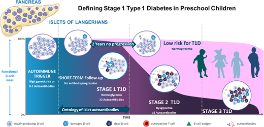 Personalizing Early-Stage Type 1 Diabetes in Children | Diabetes Care ...