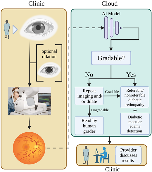 Artificial Intelligence and Diabetic Retinopathy: AI Framework, Prospective Studies, Head-to ...