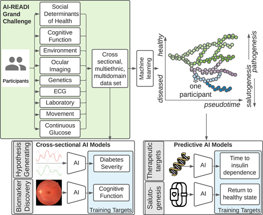 Artificial Intelligence and Diabetic Retinopathy: AI Framework ...