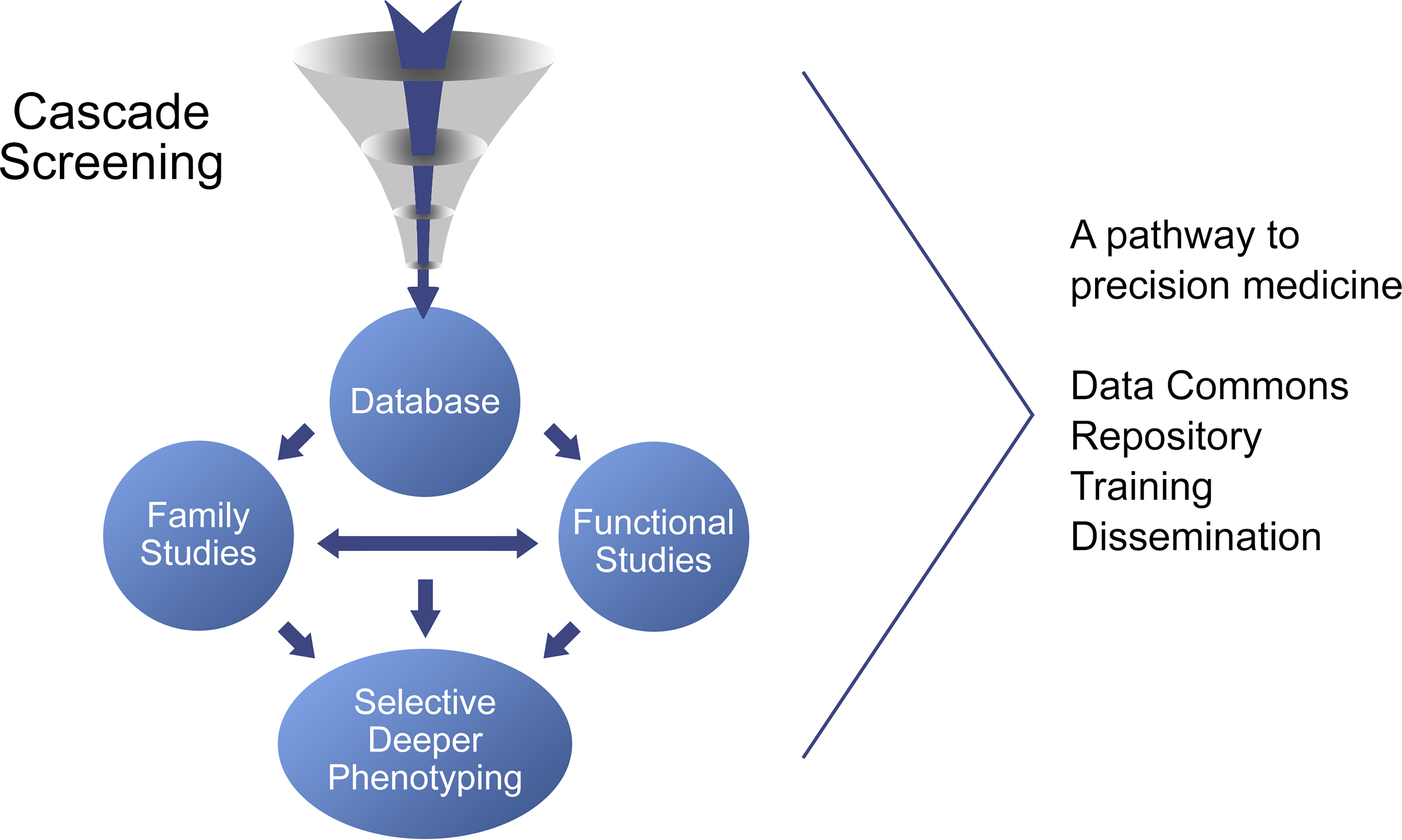 The Rare and Atypical Diabetes Network (RADIANT) Study: Design and ...