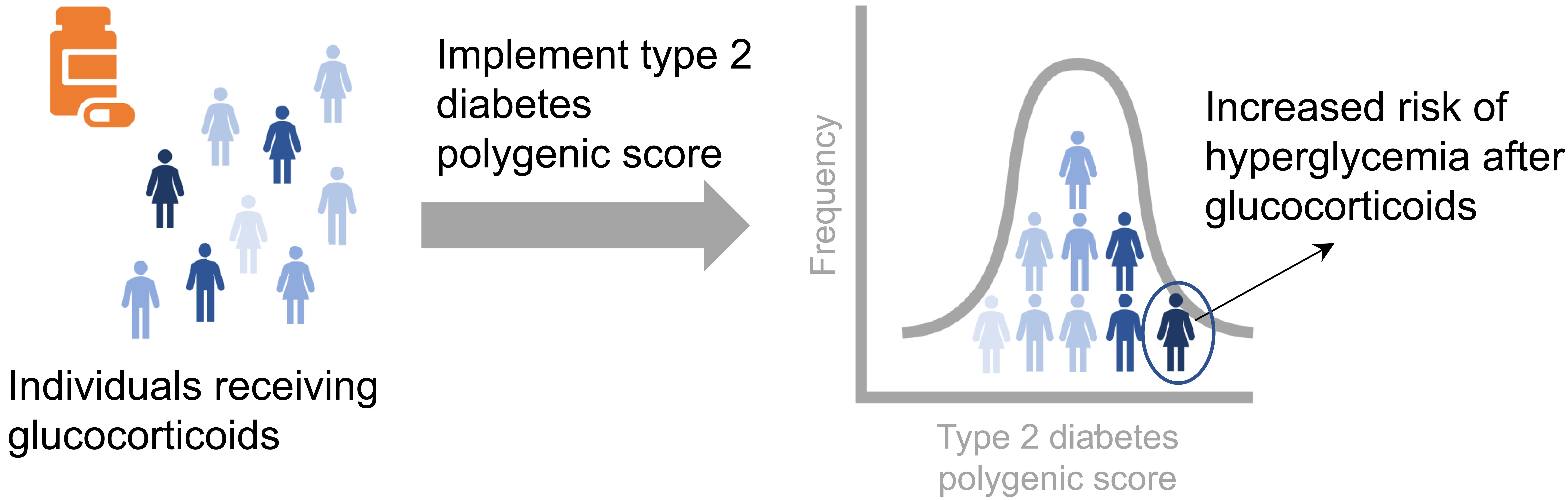 Type 2 Diabetes Polygenic Score Predicts the Risk of Glucocorticoid ...
