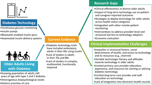 The Growing Role of Technology in the Care of Older Adults With ...