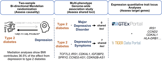 Bidirectional Mendelian Randomization and Multiphenotype GWAS Show ...