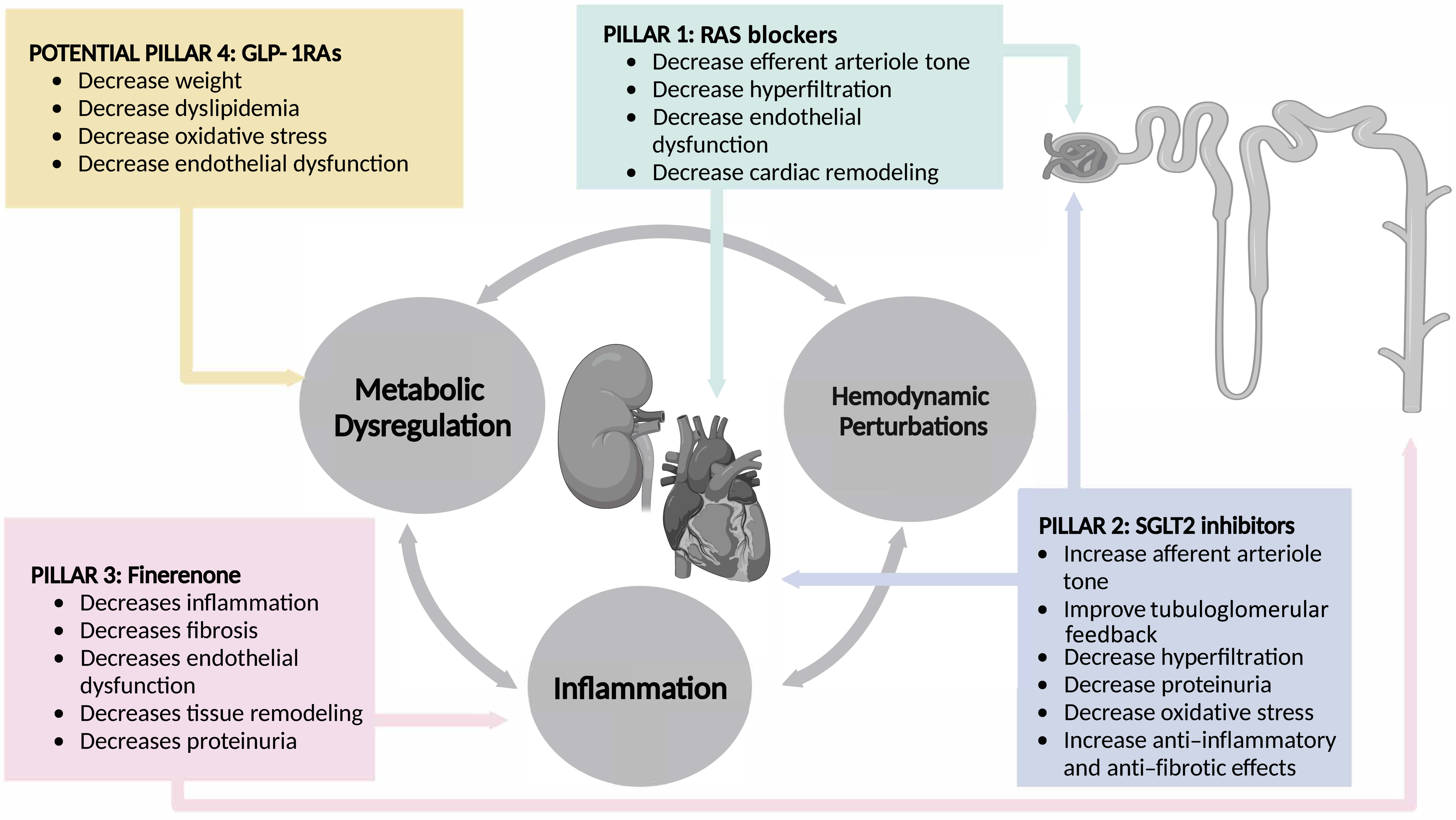 Diabetic Nephropathy: Update on Pillars of Therapy Slowing Progression ...