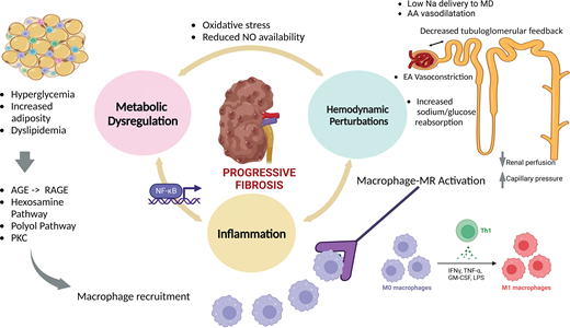 Diabetic Nephropathy: Update on Pillars of Therapy Slowing Progression ...