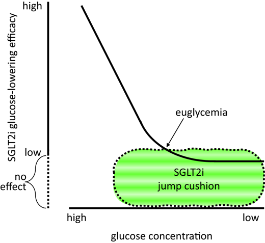 Expanding the Use of SGLT2i in Diabetes Beyond Type 2 | Diabetes Care ...