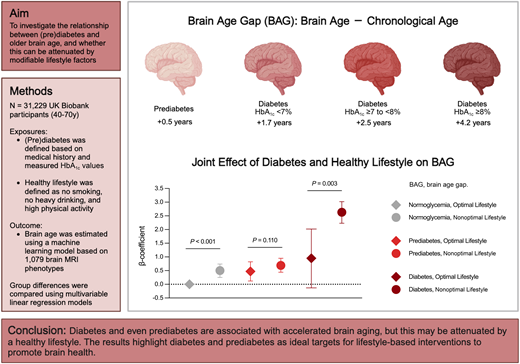 Diabetes, Prediabetes, and Brain Aging: The Role of Healthy Lifestyle ...