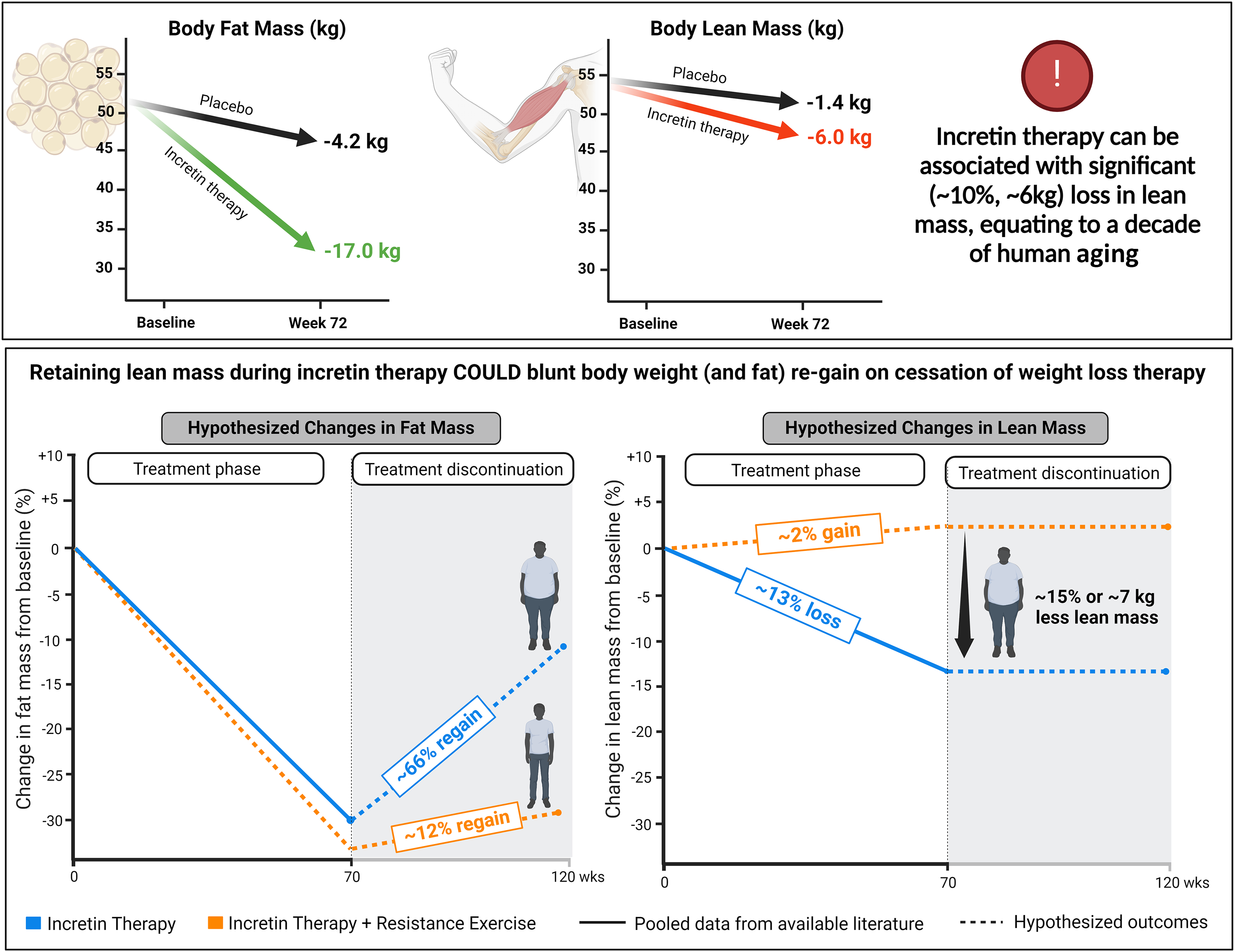 Incretin-Based Weight Loss Pharmacotherapy: Can Resistance Exercise ...