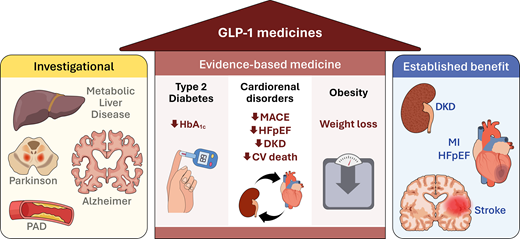 Efficacy and Safety of GLP-1 Medicines for Type 2 Diabetes and Obesity ...