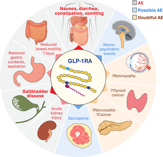 Efficacy and Safety of GLP-1 Medicines for Type 2 Diabetes and Obesity ...