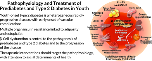 Pathophysiology and Treatment of Prediabetes and Type 2 Diabetes in ...