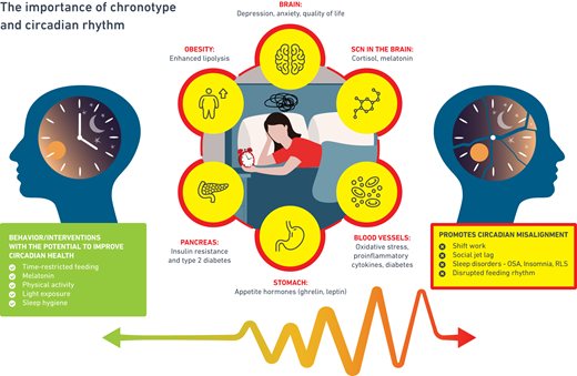 Waking Up to the Importance of Sleep in Type 2 Diabetes Management: A ...