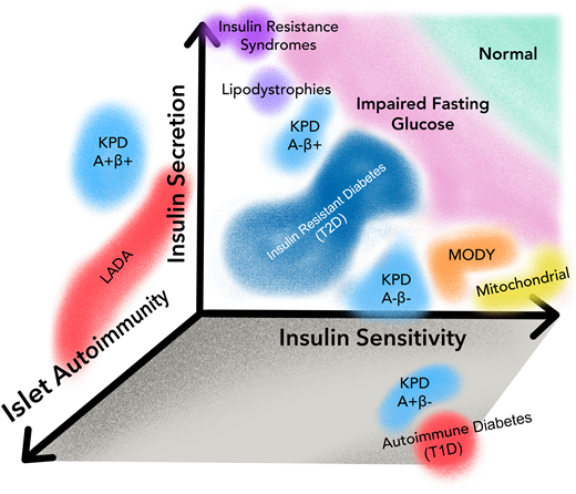 Atypical Diabetes: What Have We Learned and What Does the Future Hold ...