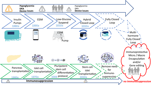 Automated Insulin Delivery: A Milestone on the Road to Insulin ...
