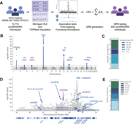 Genetic Discovery and Risk Prediction for Type 1 Diabetes in ...