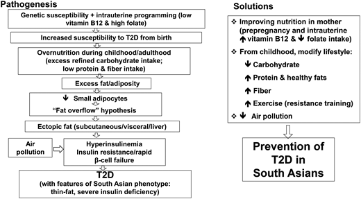 Lessons Learned From Epidemiology of Type 2 Diabetes in South Asians ...