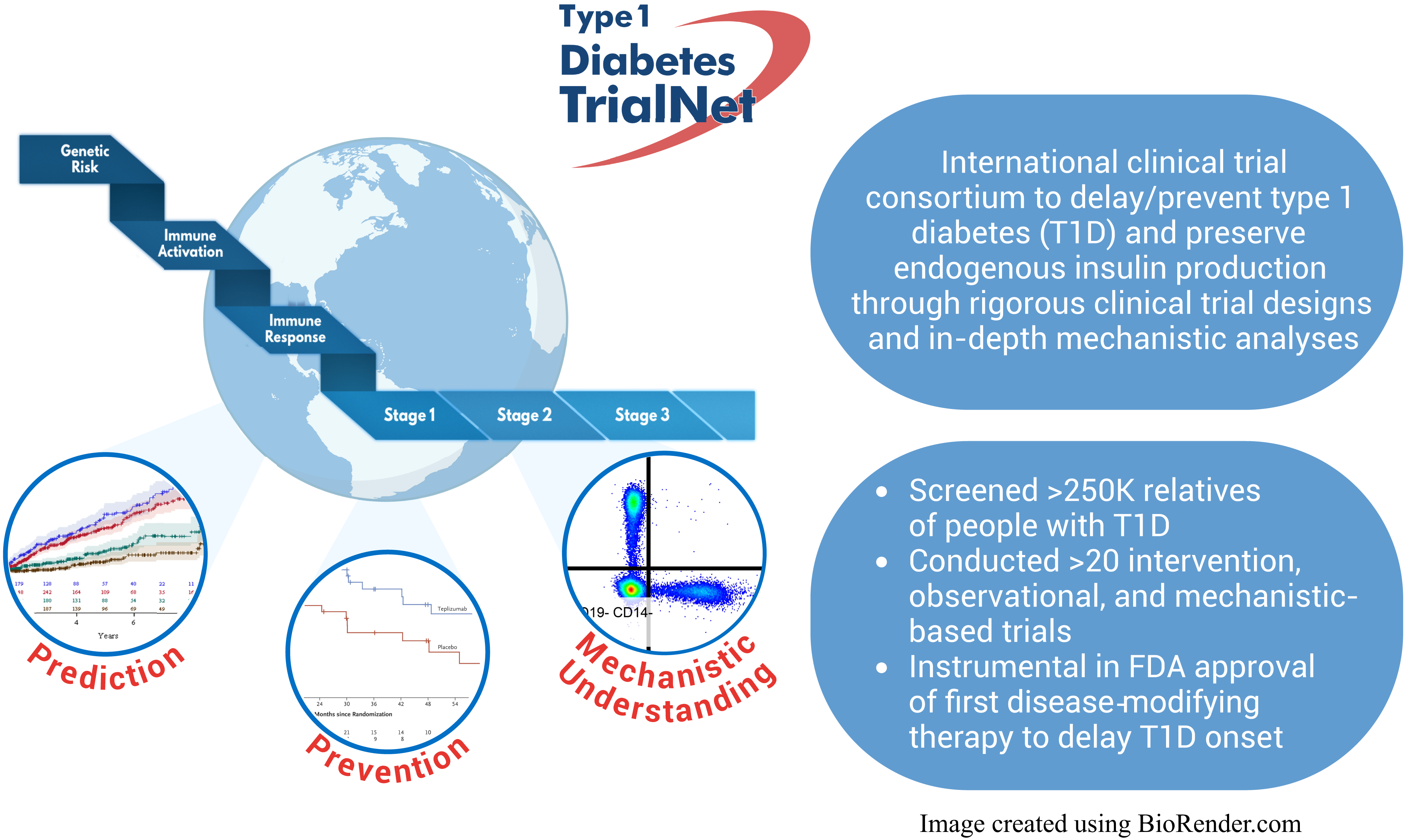 Type 1 Diabetes TrialNet: Leading the Charge in Disease Prediction ...