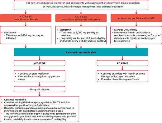 14. Children and Adolescents: Standards of Care in Diabetes—2026 ...