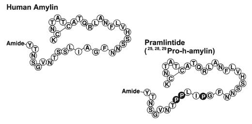 Amylin Replacement With Pramlintide in Type 1 and Type 2 Diabetes: A ...