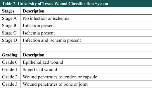 A Review of the Pathophysiology, Classification, and Treatment of Foot ...
