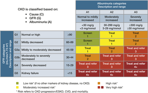 Diabetic Kidney Disease Prevention Care Model Development | Clinical ...